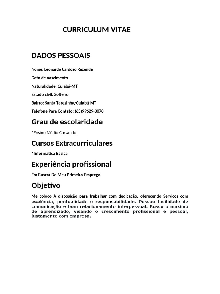 Curriculo Leo | PDF