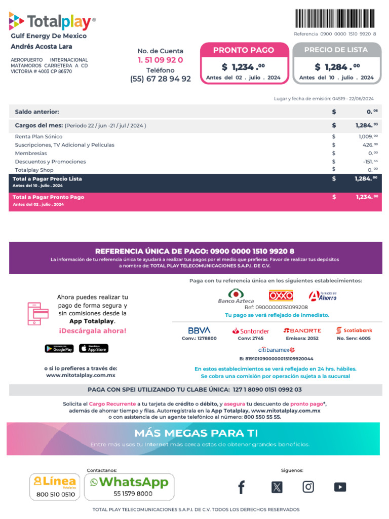 Compr Dom Gem Pdf Industrias De Servicio Servicios Financieros