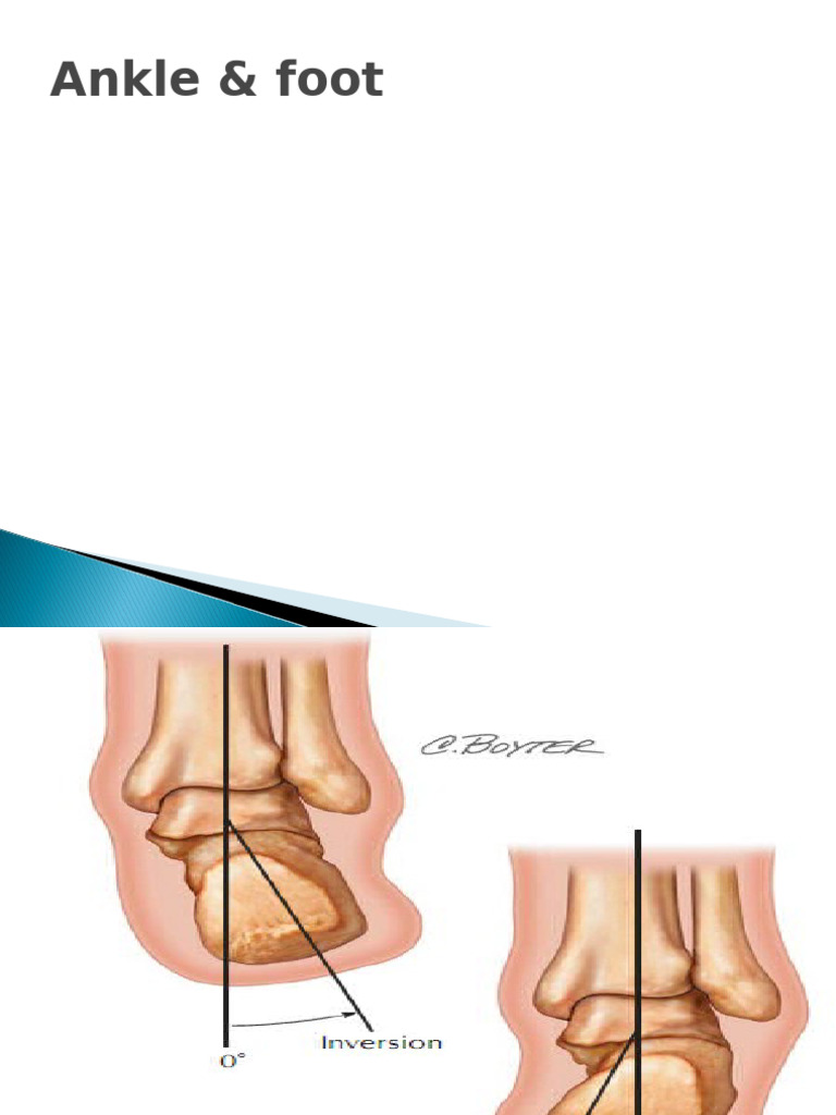 Ankle & Foot | PDF