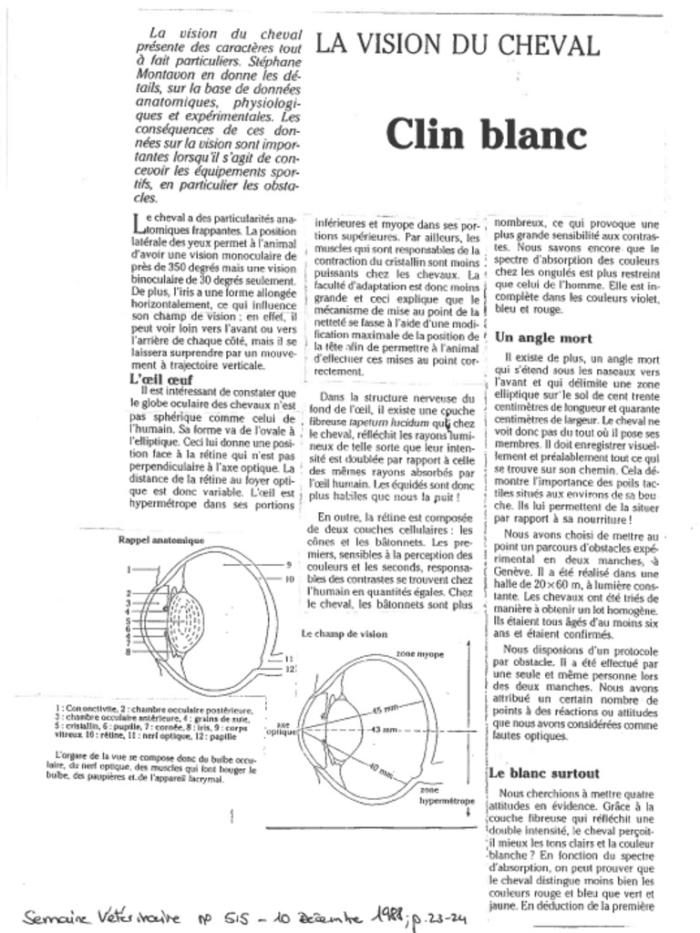 7 La Vision Du Cheval - Clin Blanc | PDF