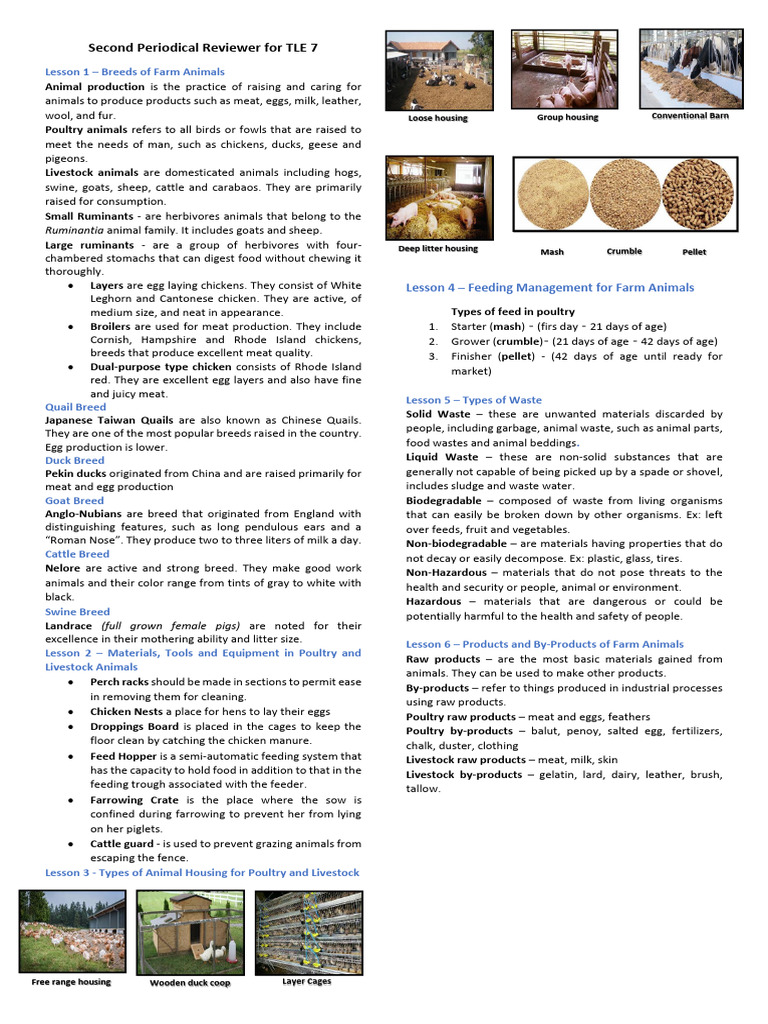 Second Periodical Reviewer For TLE 7 | PDF | Livestock | Poultry