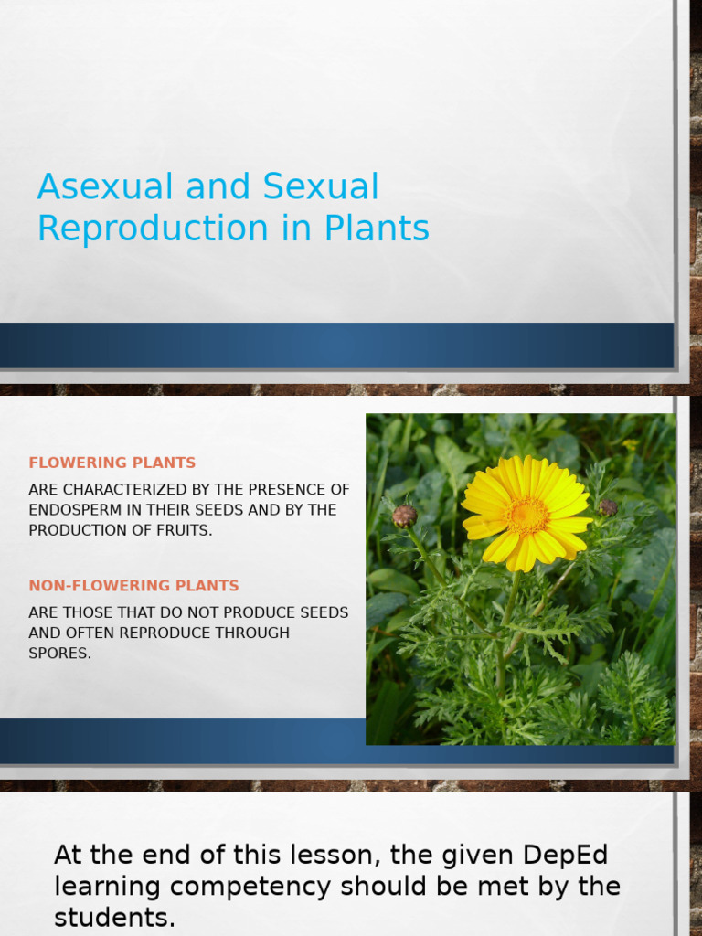 ASEXUAL AND SEXUAL REPRODUCTION OF PLANTS | PDF | Sexual Reproduction ...