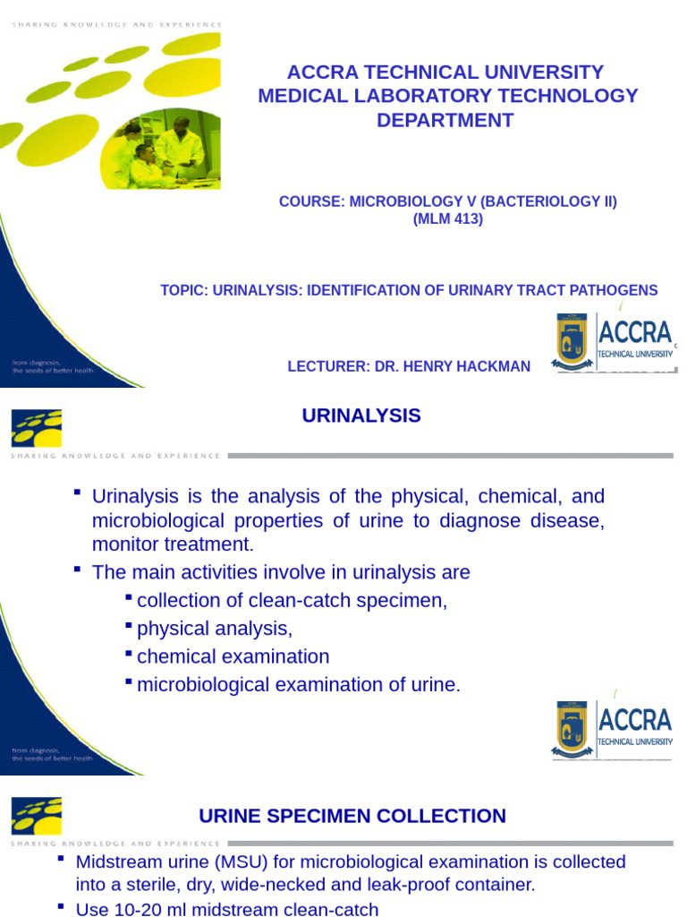 Urinalysis and Urine Pathogens | PDF | Urine | Urinary Tract Infection