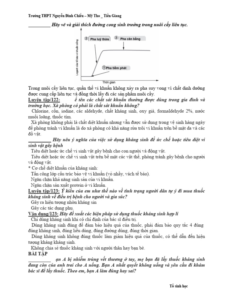 Cac Cau Tu Luan Onthi HK2 | PDF