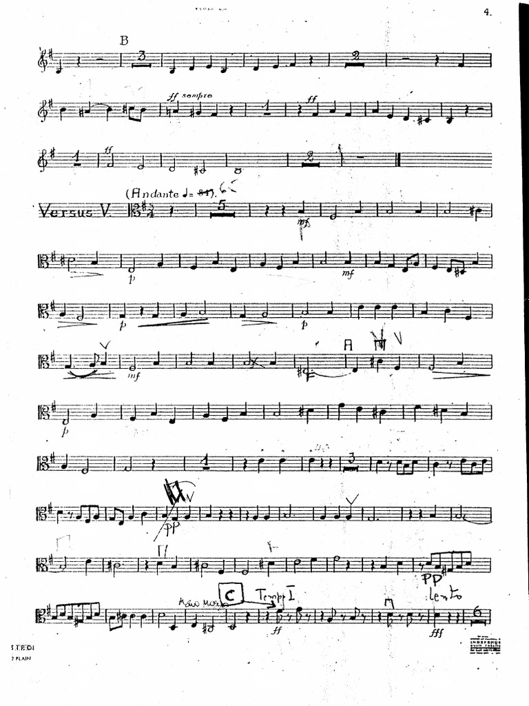 Viola 2 Img629 | PDF