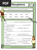 Homophones for Grade 4 Students | PDF