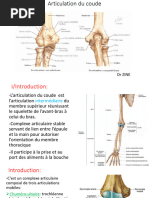 Anatomie détaillée du coude humain | PDF | Articulation (anatomie) | Anatomie humaine