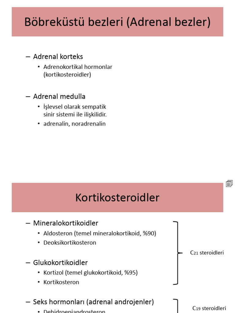 Adrenal Korteks Hormonları | PDF