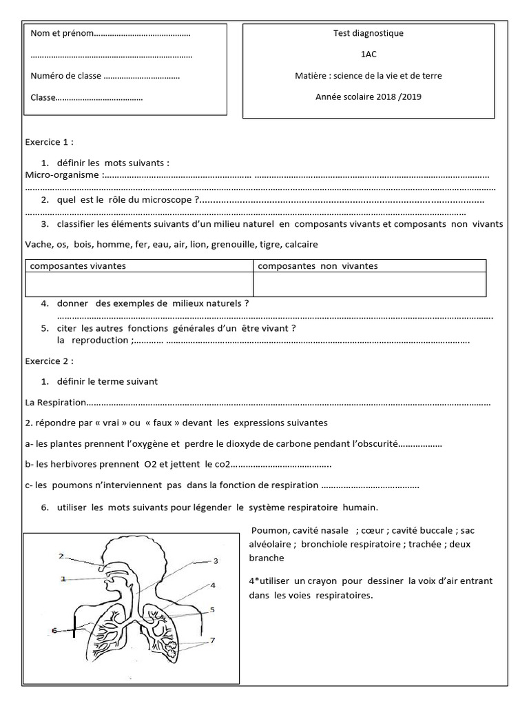 Évaluation Diagnostique SVT 1AC | PDF | Système respiratoire | Tractus ...