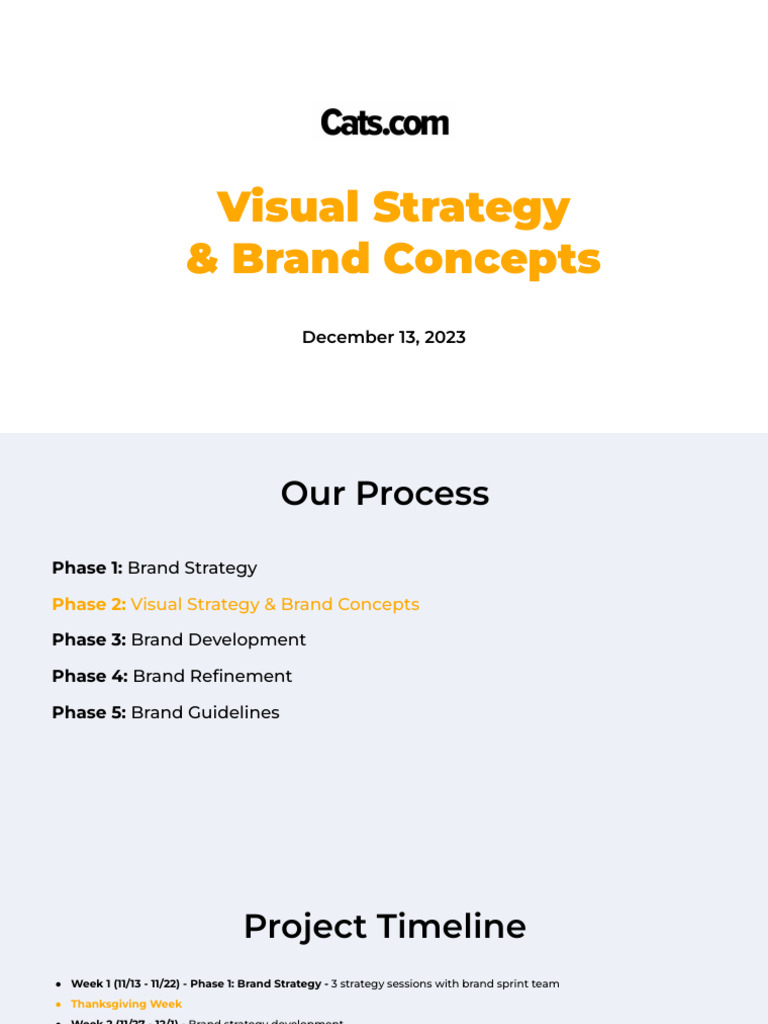 Visual_Strategy__Brand_Concepts | PDF | Brand | Typography