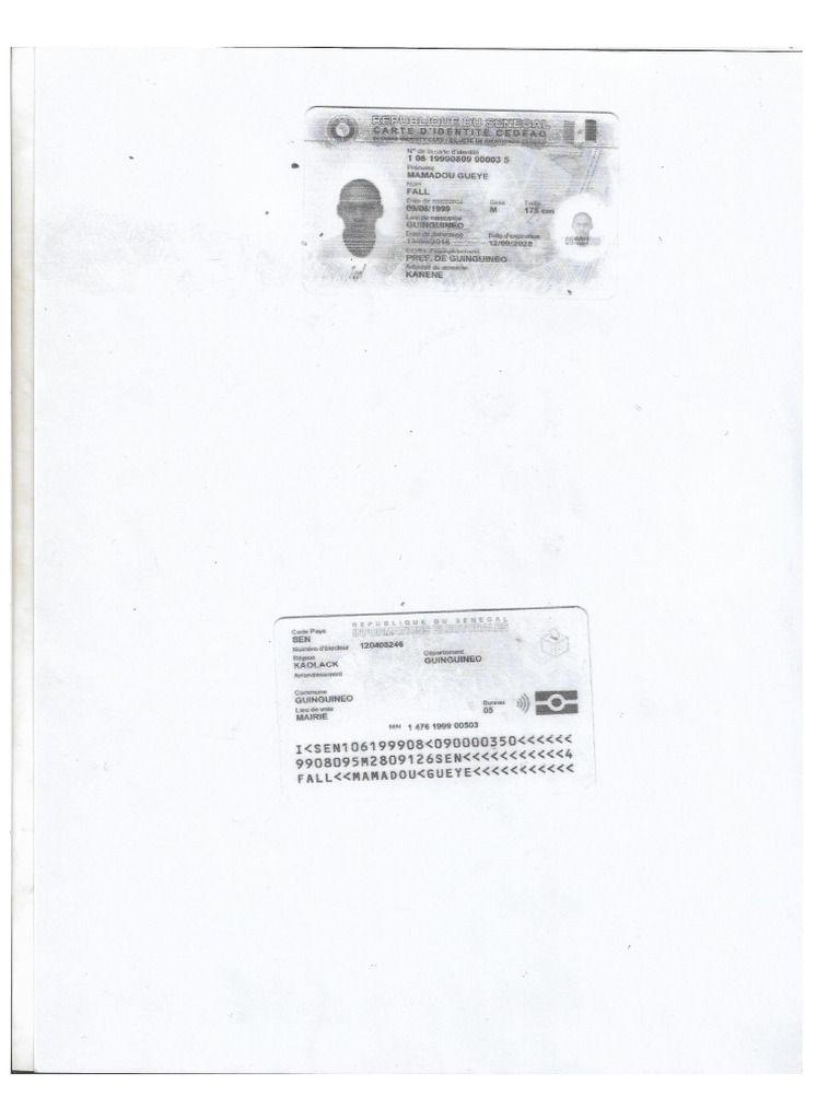 Cni Mamadou Gueye Fall | PDF