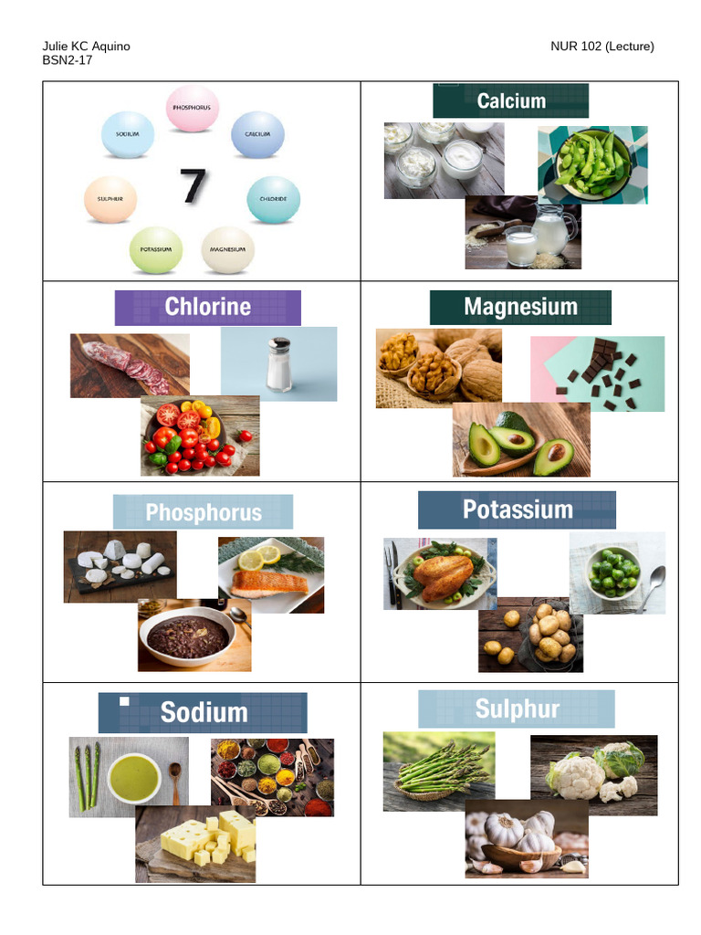 7 Major Minerals | PDF