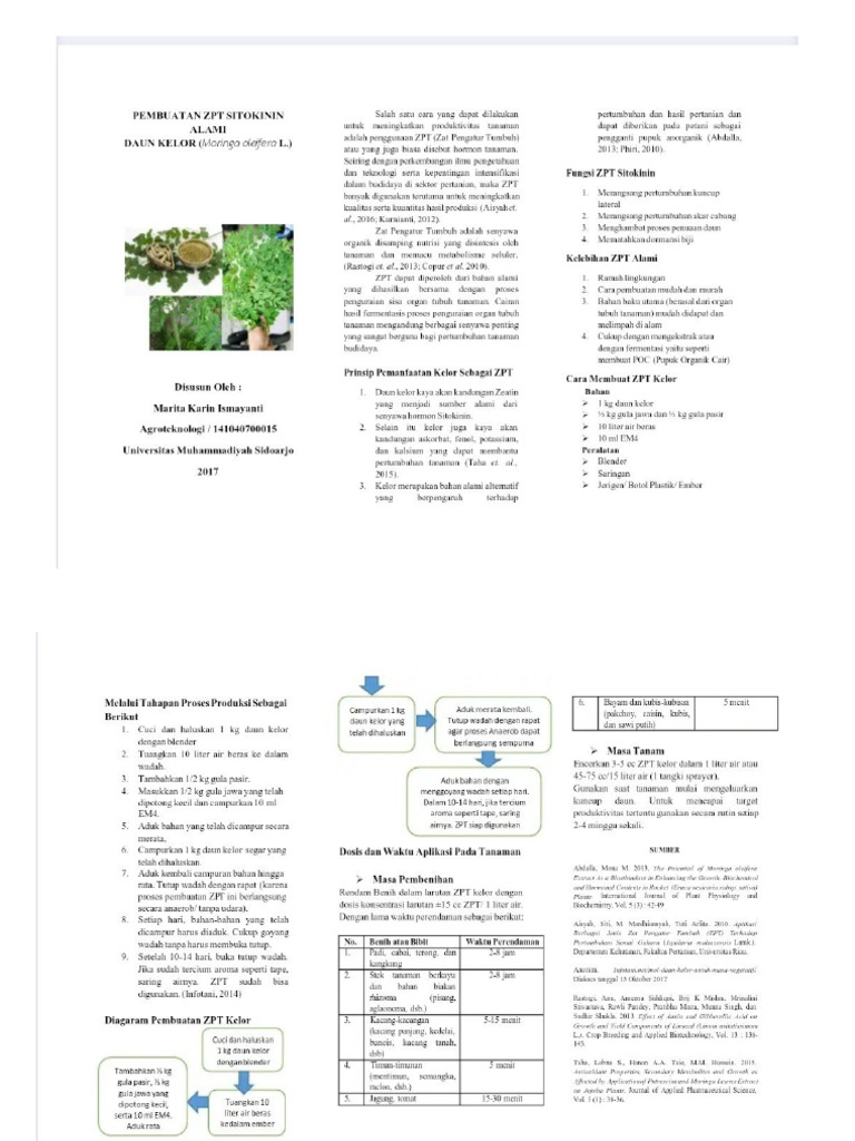 Pupuk ZPT Dan Kompos | PDF