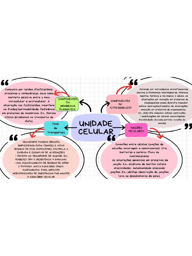 Mapa Mental Ava 1 | PDF
