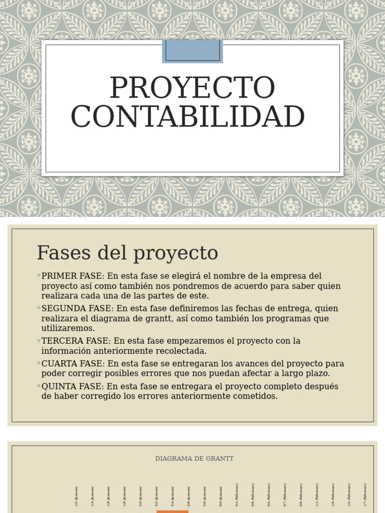 Proyecto Contable: Fases y Diagrama | PDF | Contabilidad | Hoja de balance