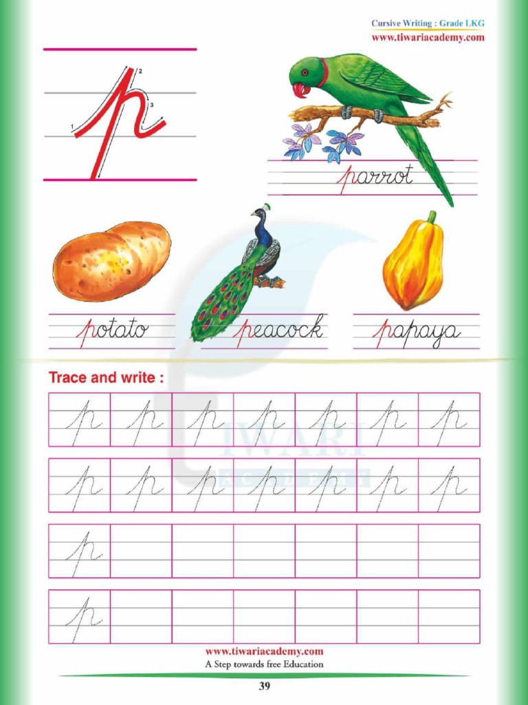 KG English Cursive Writing 5 | PDF