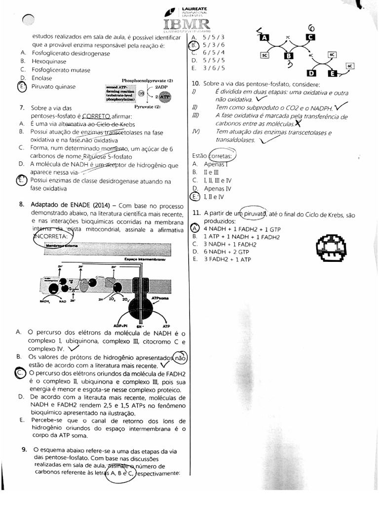 Provas Av1 Bioquímica | PDF