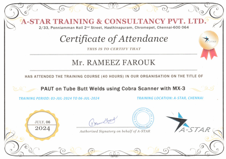 PAUT On Butt Welds Using Cobra Scanner With MX3 | PDF