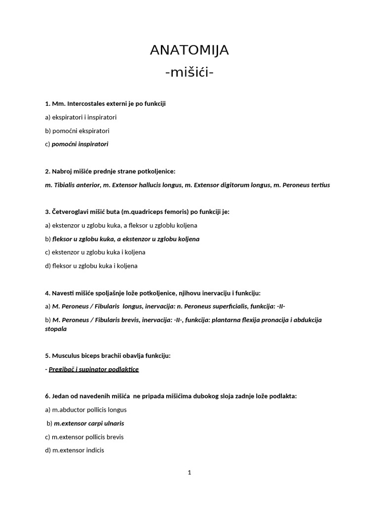 Misici | PDF