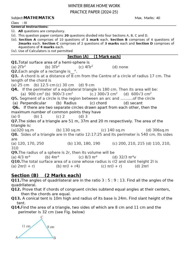 Class IX Math Practice Paper | PDF | Area | Circle