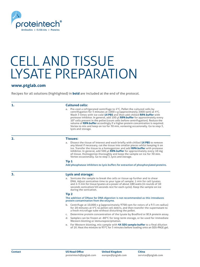 Protocols For Web - Lysate Preparation - v3 | PDF | Lysis | Biochemistry