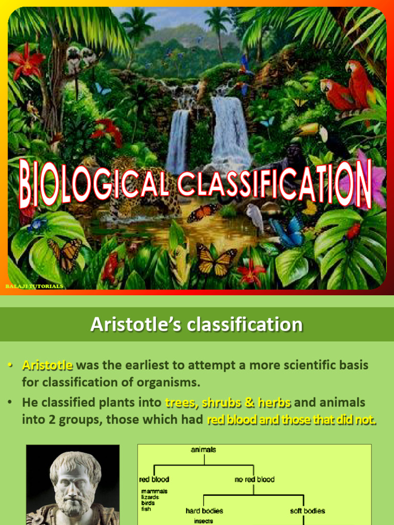 Biological Classification | PDF | Fungus | Sexual Reproduction