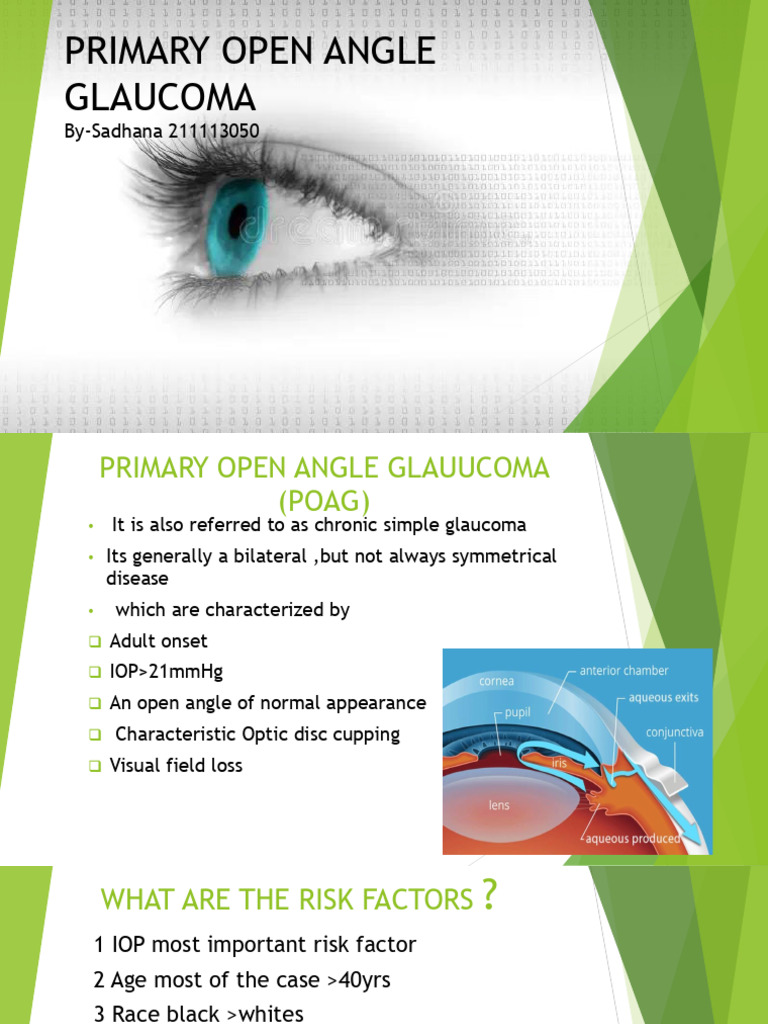 Understanding Primary Open Angle Glaucoma | PDF