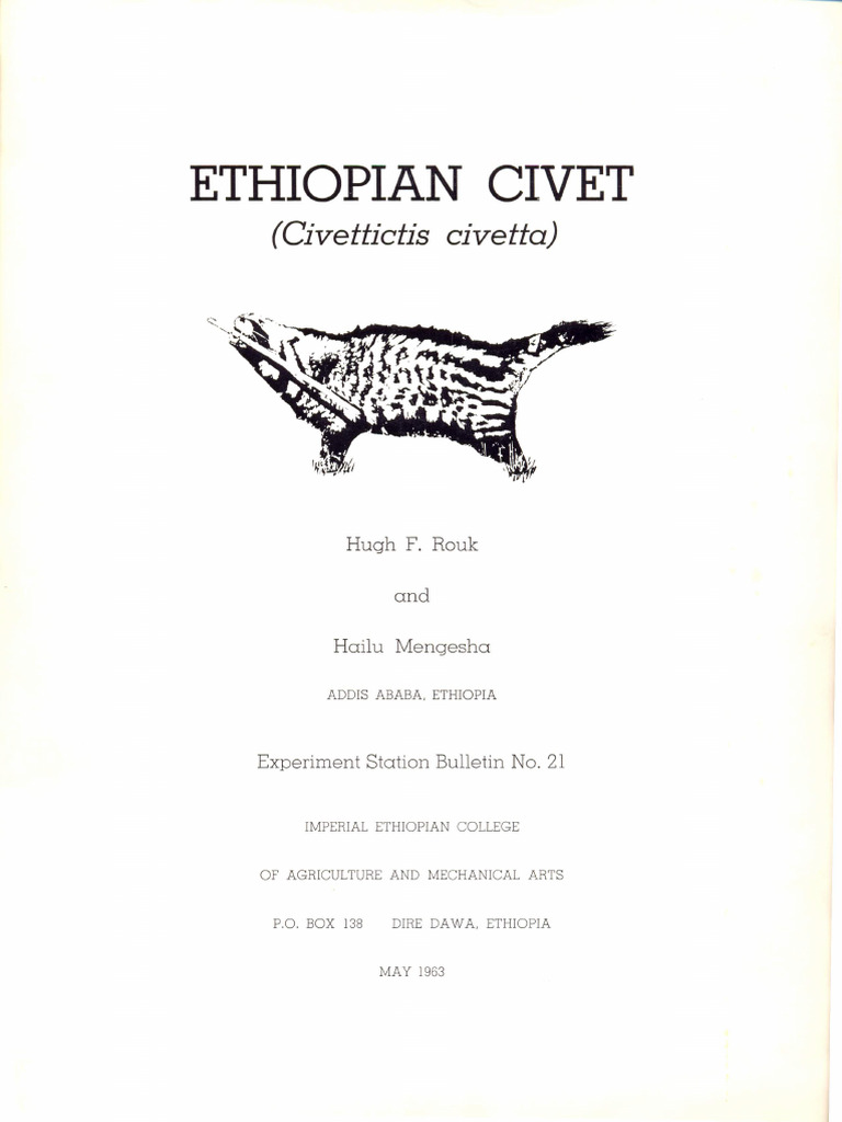 Ethiopian Civet | PDF | Ethiopia | Cats
