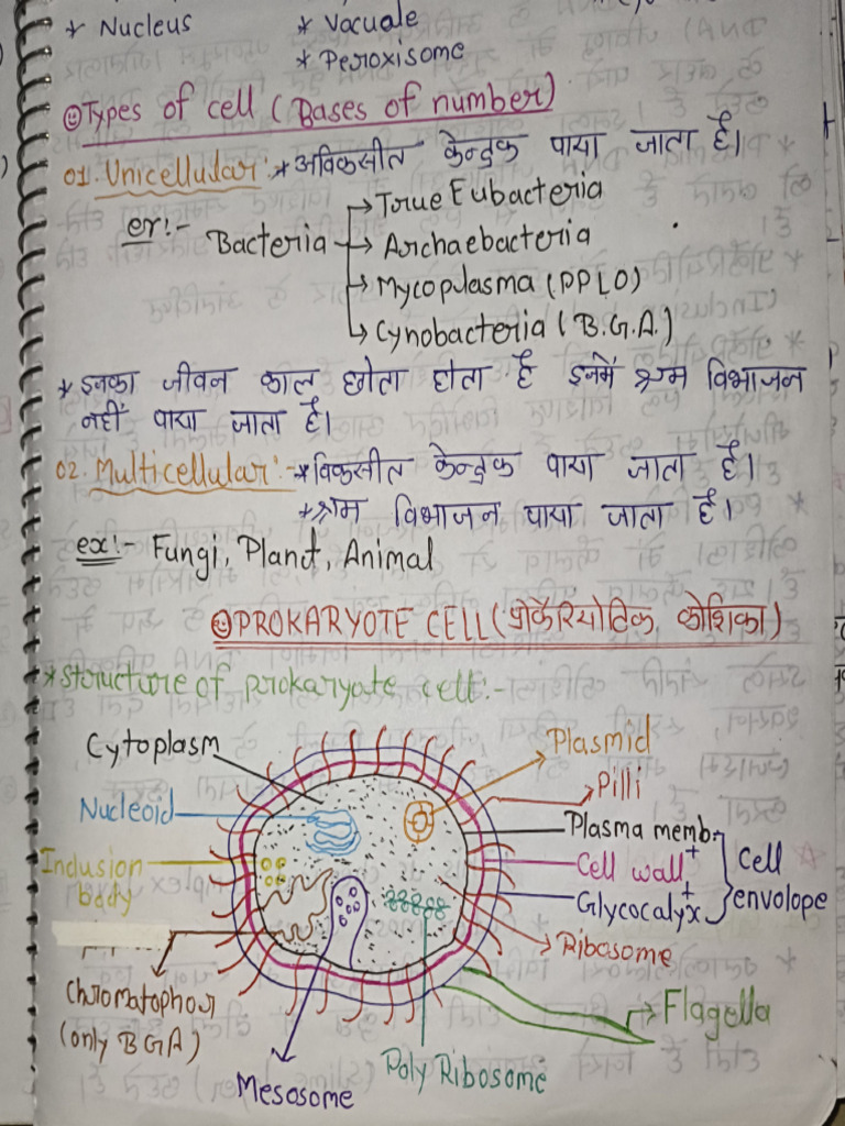 Cell The Unit of Life ? | PDF