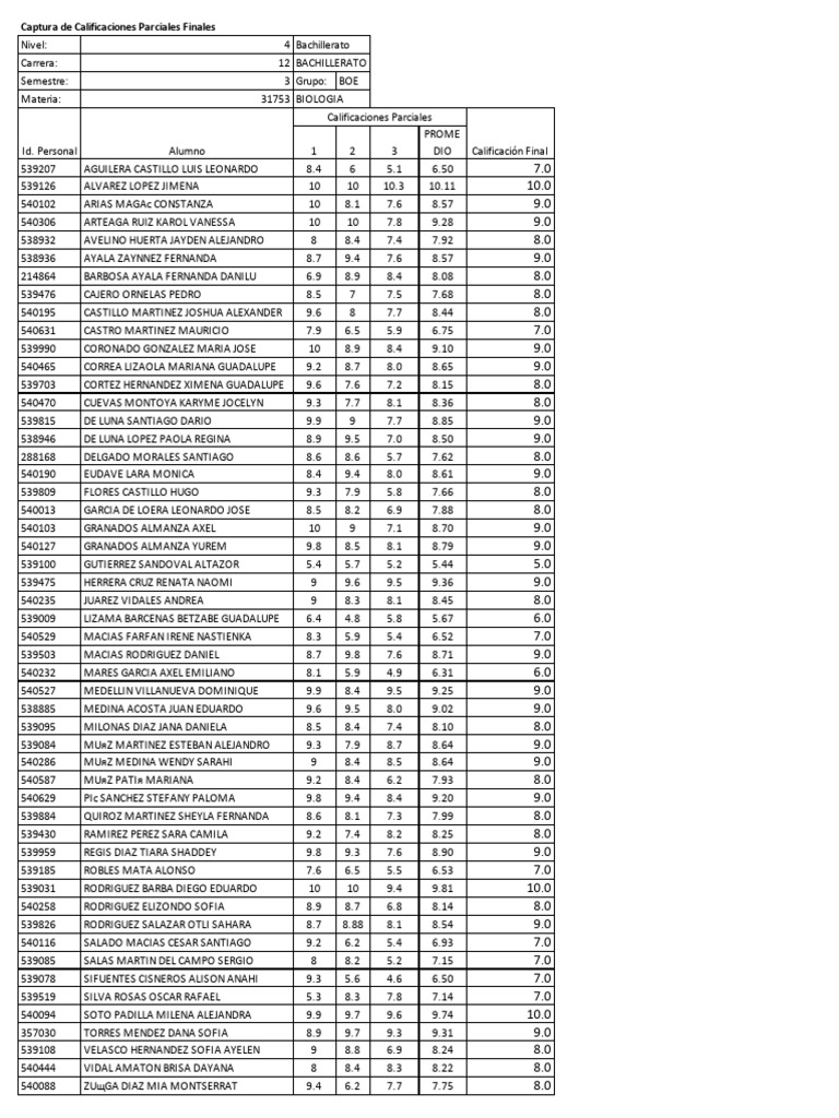 Boe - 2024 Final | PDF