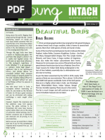 Hudhud: The Hoopoe Bird Explained | PDF | Birds | Ornithology
