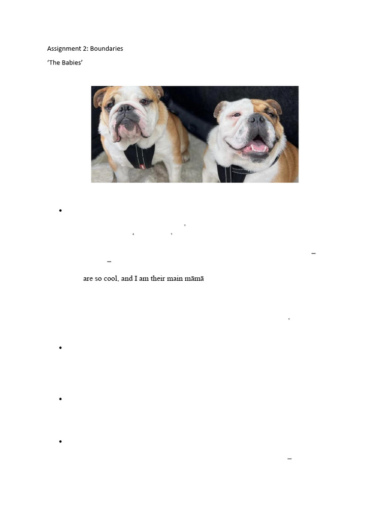 Assignment 2 Boundaries - The Babies | PDF
