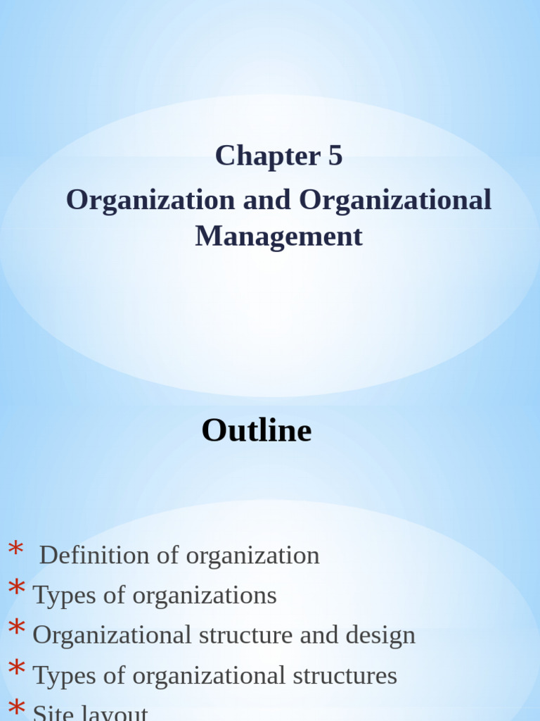 Organizational Management | PDF | Sole Proprietorship | Ownership