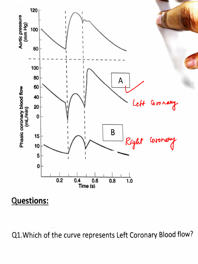 Physiology Chart and Graph | PDF