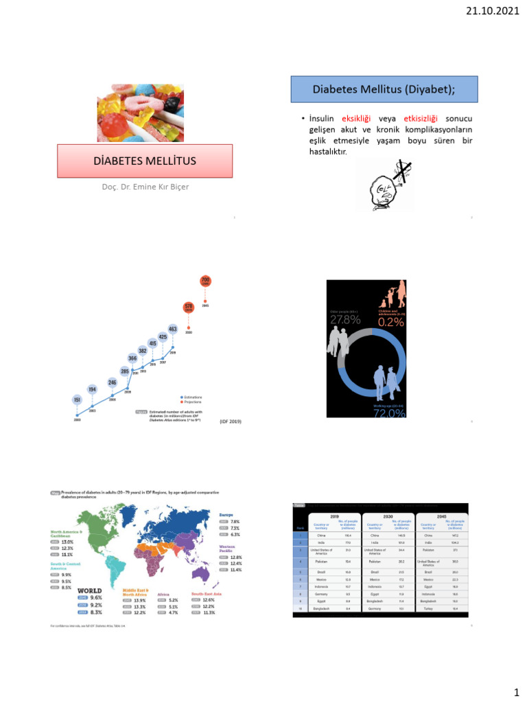 Diyabet 2021 MKU | PDF