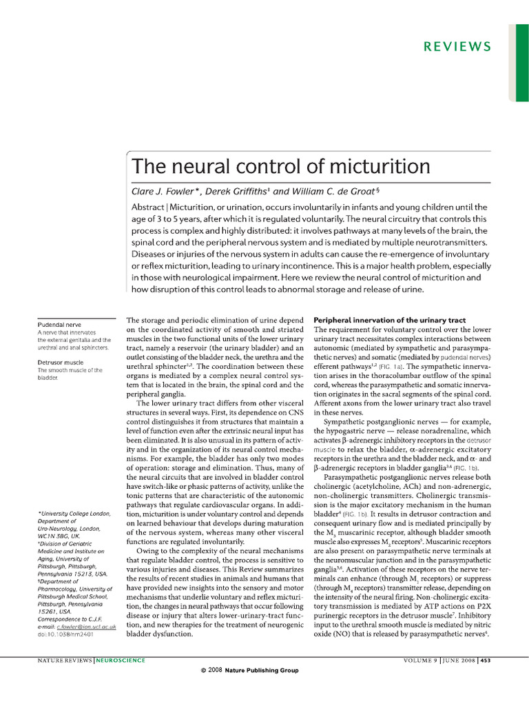 Neural Control Micturition | PDF