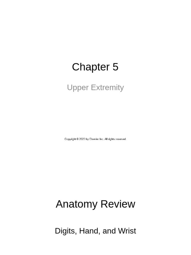 CH5 - Fingers Thumb Hand Wrist OCT2024 | PDF | Hand | Thumb