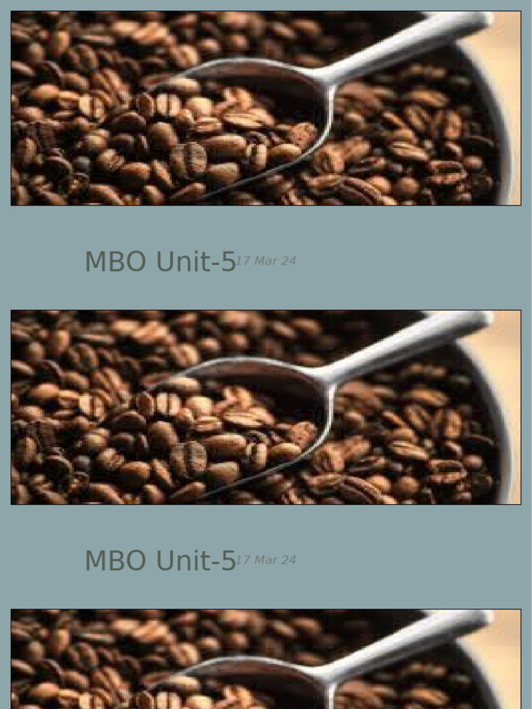 Mbo U5 | PDF