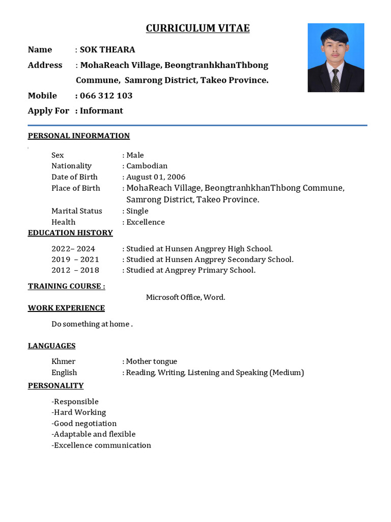 CV Sok Theara | PDF