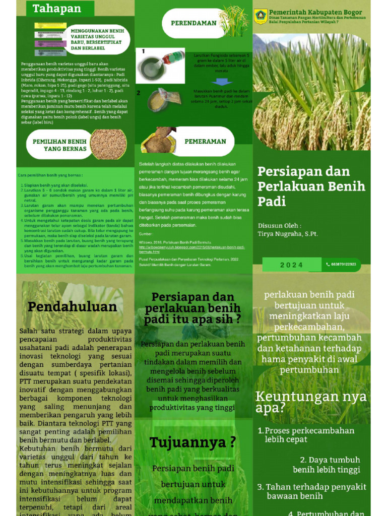 Persiapan Dan Perlakuan Benih Padi | PDF