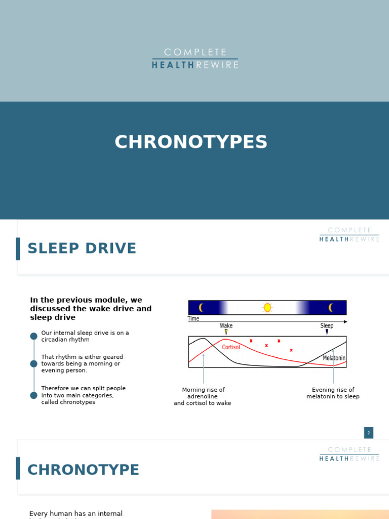 Chronotypes | PDF
