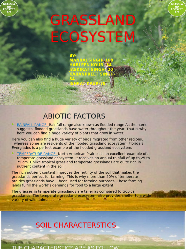 Grassland Ecosystem Pdf Grassland Ecosystem