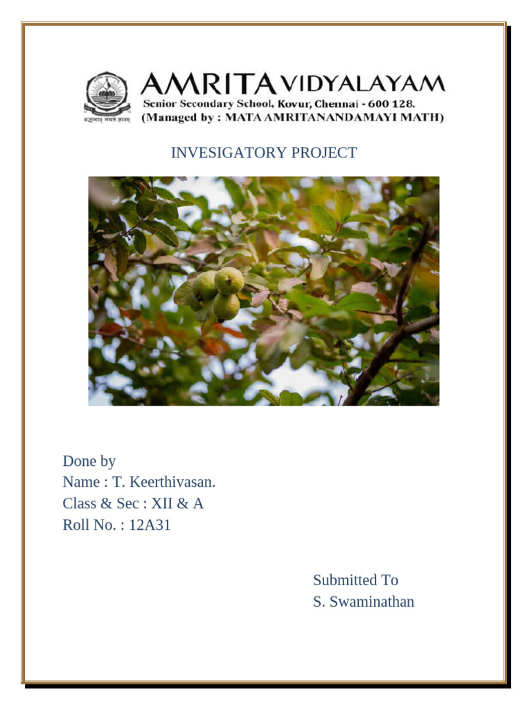 TKV Chem Proj Class 12 Oxalate | PDF