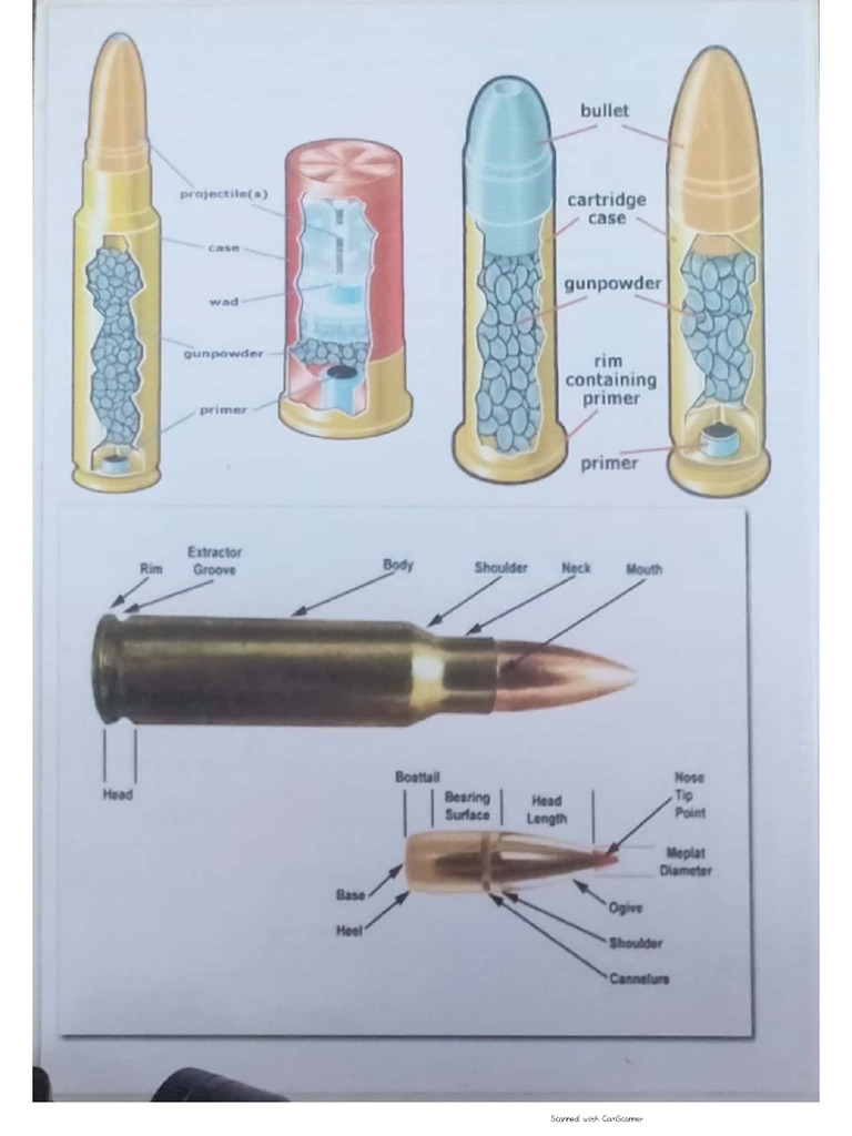OSPE Museum Slide - Weapon Forensic | PDF