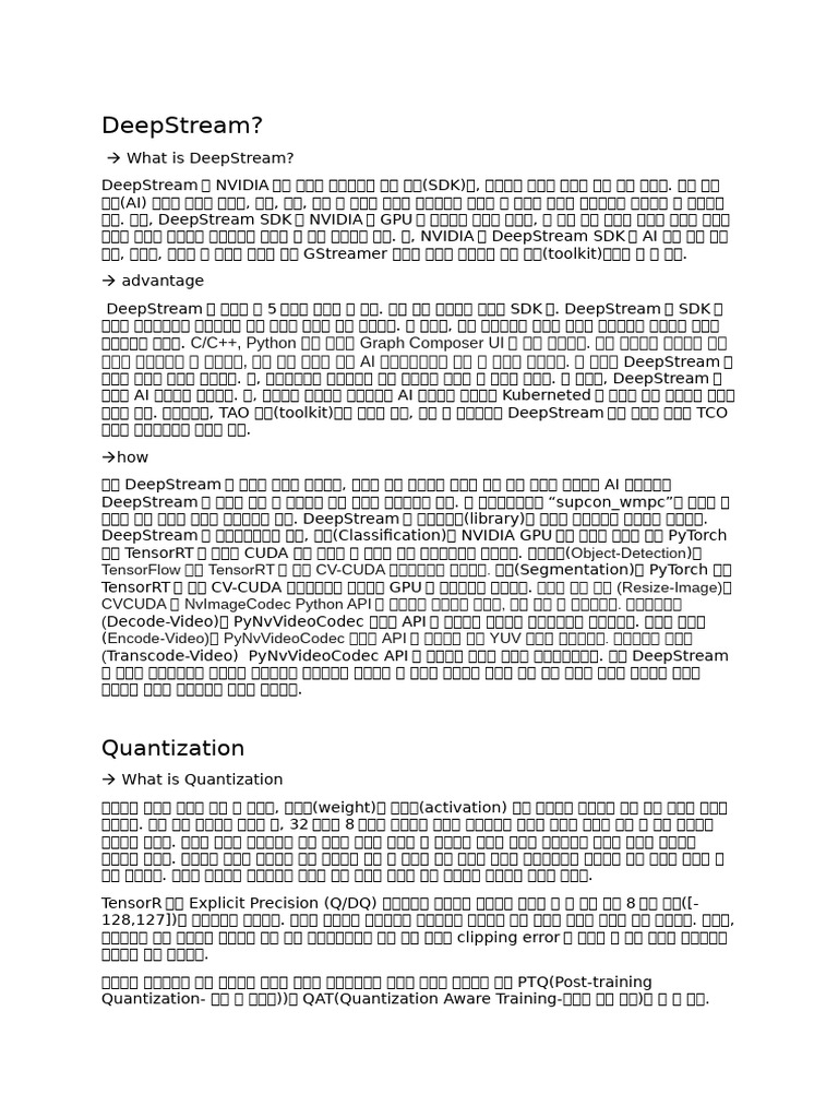 DeepStream, 양자화 조사 | PDF