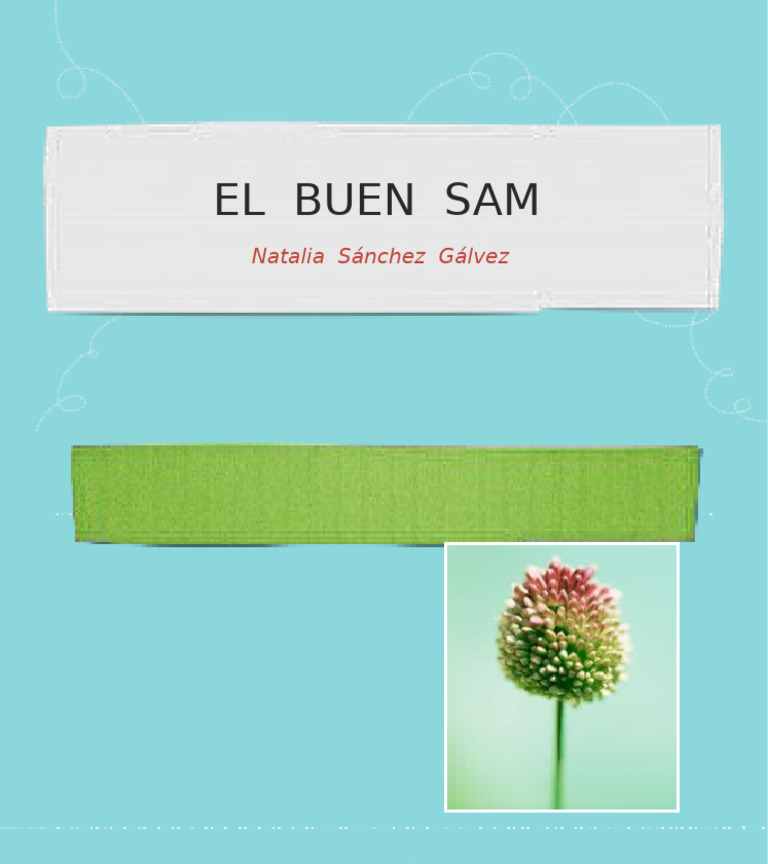 Presentación 5 | PDF