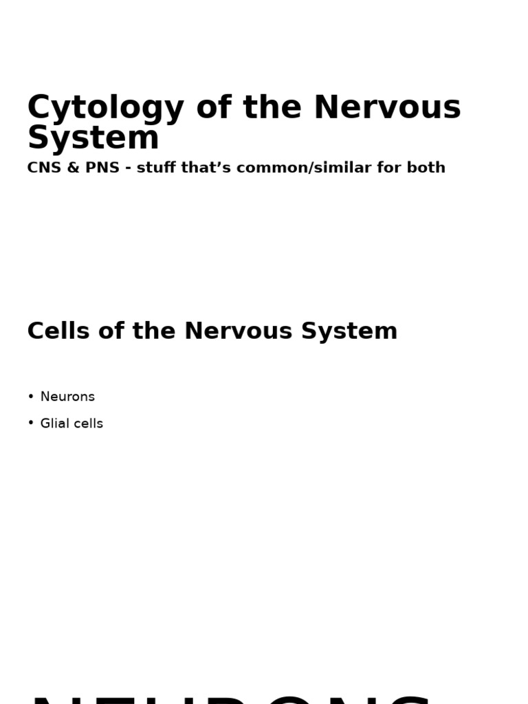 Nervous System Cytology Overview | PDF | Neuron | Axon