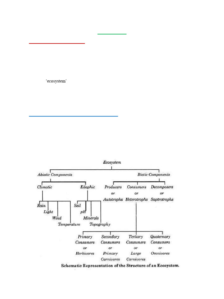 UNIT-2 ECOSYSTEM | PDF | Food Web | Primary Production