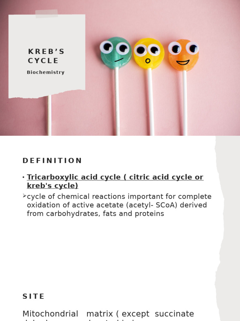 kreb's cycle | PDF | Citric Acid Cycle | Chemistry