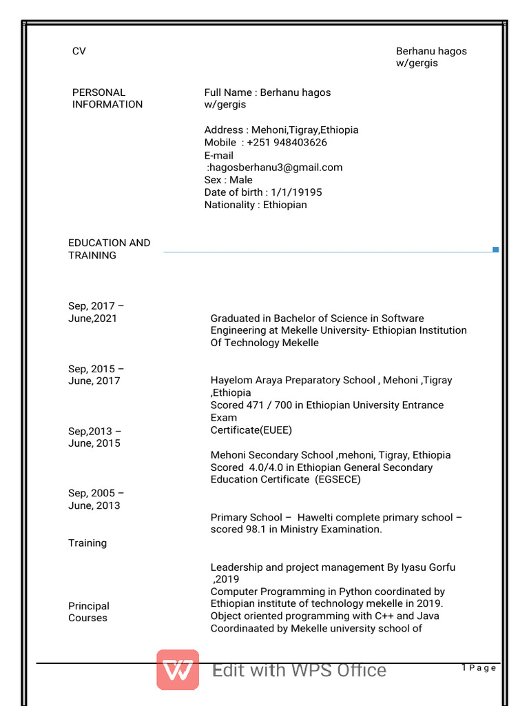 Bire Final CV1 | PDF | Computer Programming | Communication